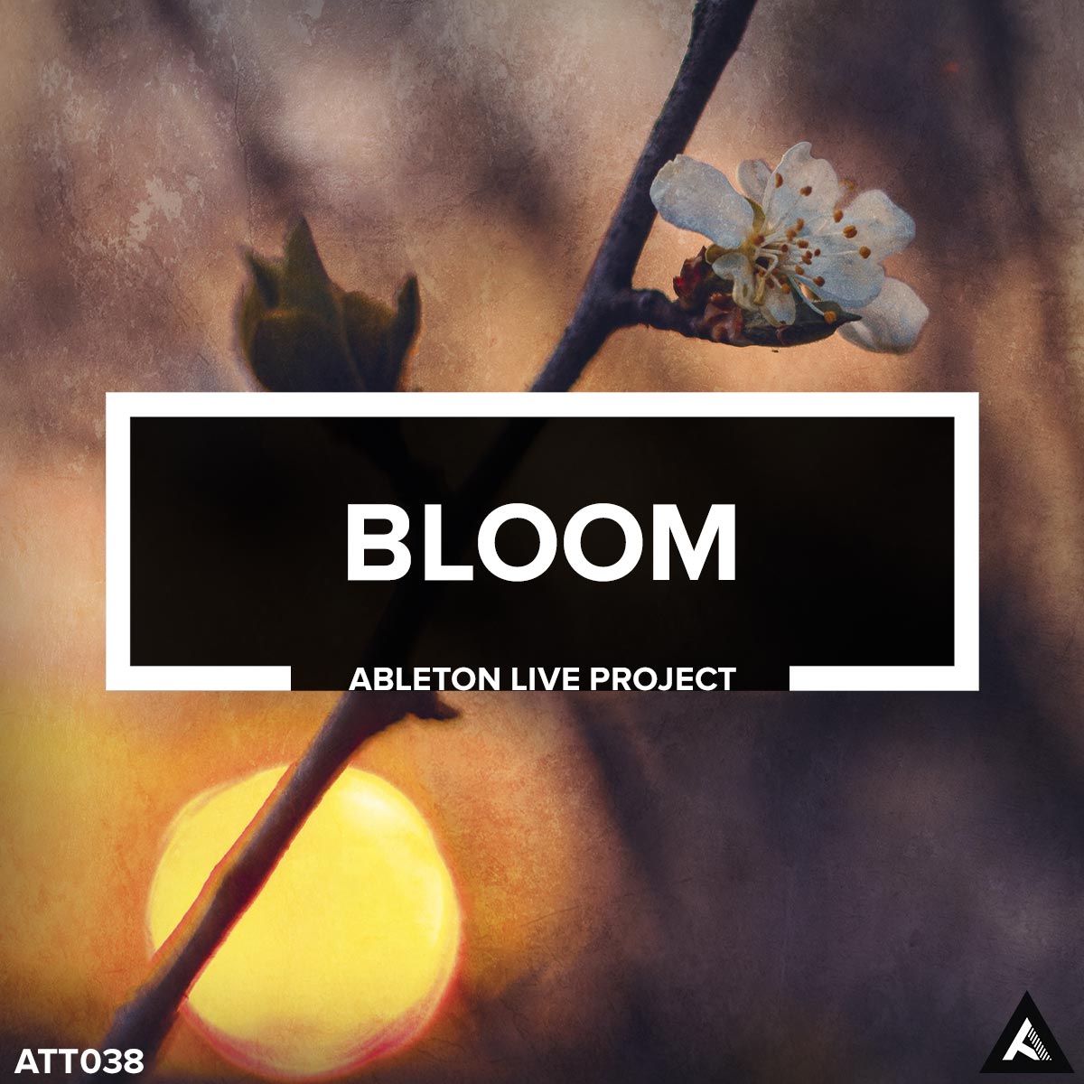 Bloom // Ableton Live Melodic Techno Project File Template